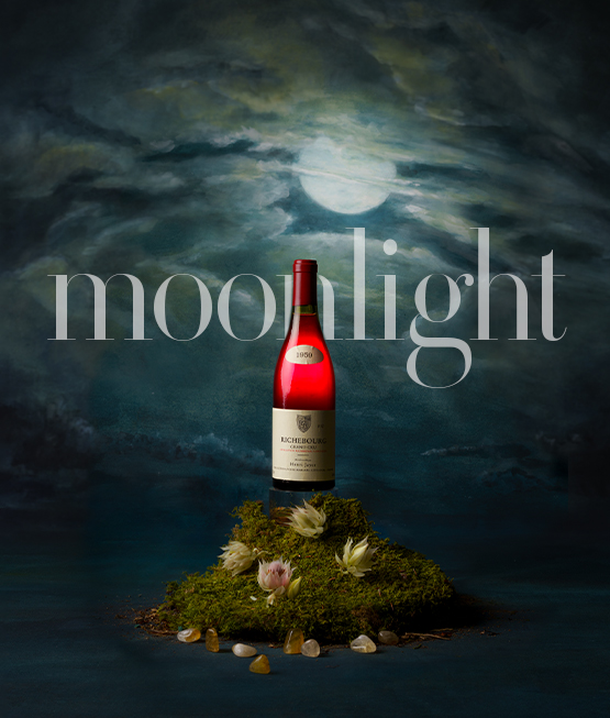 “Moonlight” | November 27th - Baghera/Blog